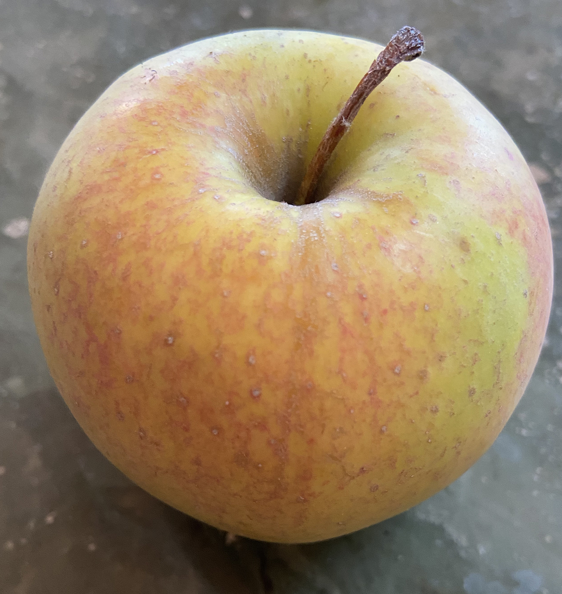 Dixon Apples Albuquerque, Part 2 – Santa Fe City Different Foodie