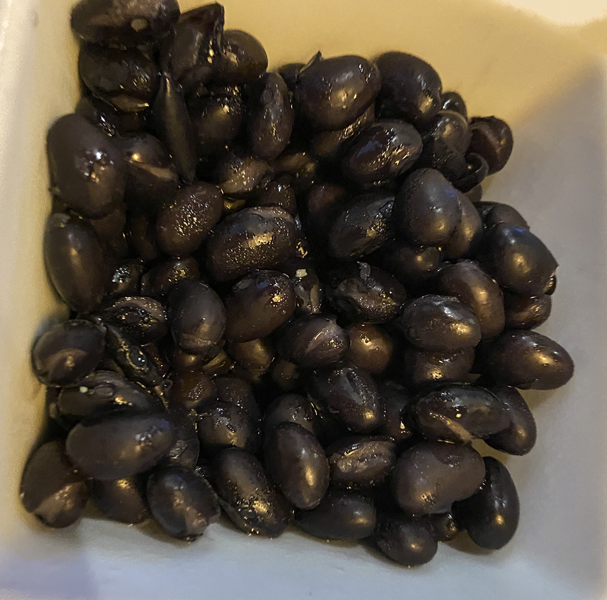 Toltec Brewing, Albuquerque – Santa Fe City Different Foodie